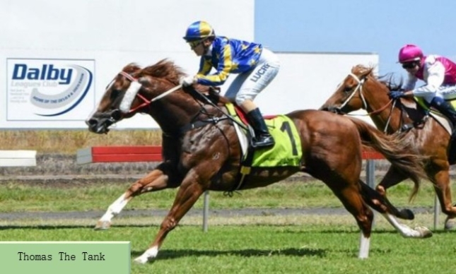 Our Horses | Winning Colours Farm